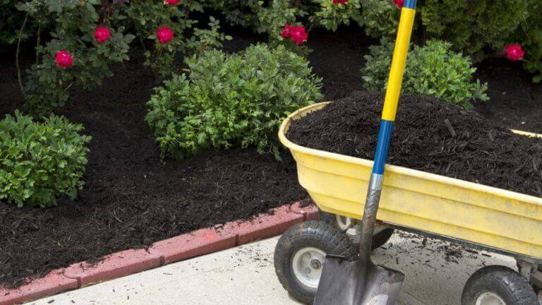 Mutterboden – Humus Gartenerde in größeren Mengen im 5-Seen-Land